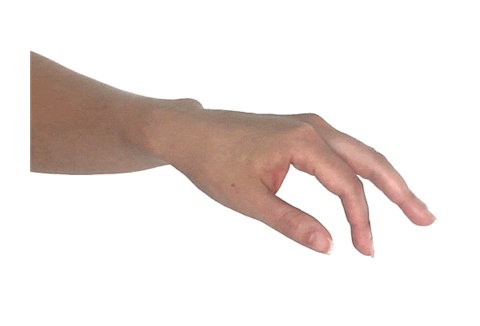 Hand Sticker for iOS & Android | GIPHY