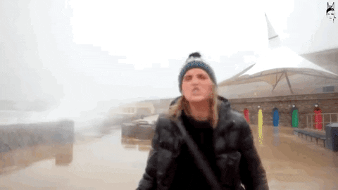 Face Weather GIF - Find & Share on GIPHY