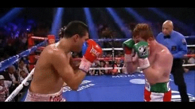 Boxing GIF - Find & Share on GIPHY