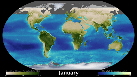 Ocean Earth GIF - Find & Share on GIPHY