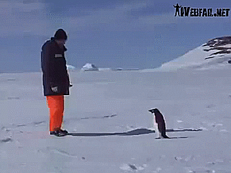 Side GIF - Find & Share on GIPHY