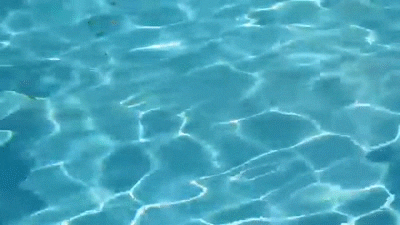 Pool GIF - Find & Share on GIPHY