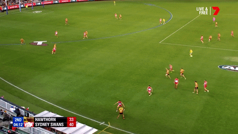 2018 Season Football GIF by AFL - Find & Share on GIPHY