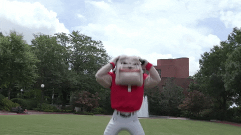 Excited Georgia Bulldogs GIF by University of Georgia - Find & Share on ...