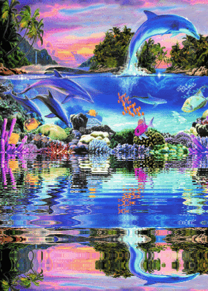 Reflection GIF - Find & Share on GIPHY