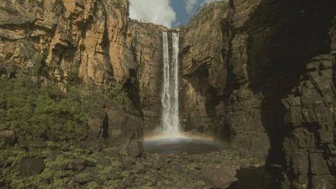 Australia GIF - Find & Share on GIPHY