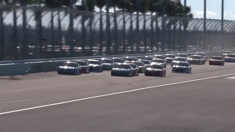 Happy Kyle Busch GIF by NASCAR - Find & Share on GIPHY