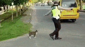 Police helps cross the street - VideosGifs.com