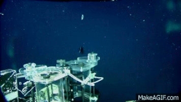 Deep Sea GIFs - Find & Share on GIPHY