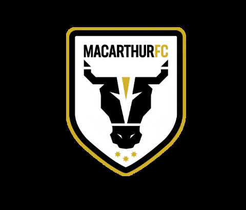 Logo GIF by Macarthur FC - Find & Share on GIPHY