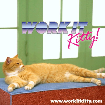Work It GIF - Find & Share on GIPHY