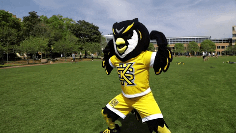 Muscles Flexing GIF by Kennesaw State University - Find & Share on GIPHY