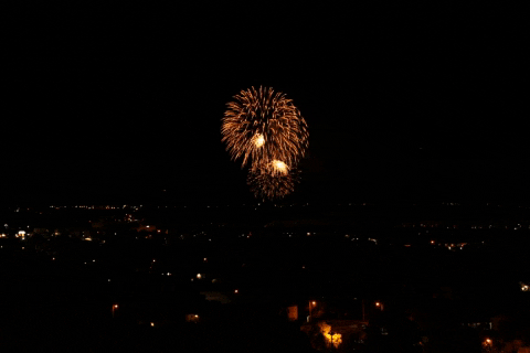 40 Great Fireworks Gifs Fireworks Gif Fireworks Animation Firework