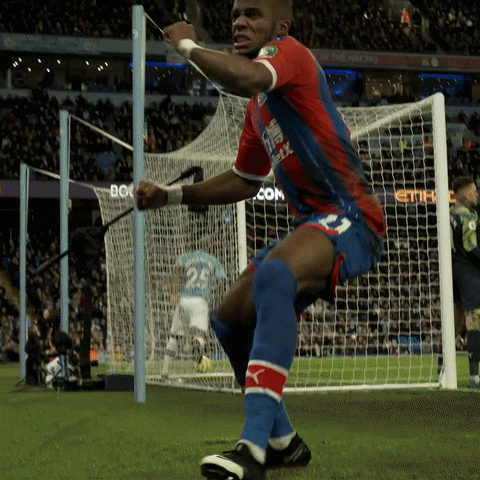 Premier League Yes GIF by CPFC - Find & Share on GIPHY