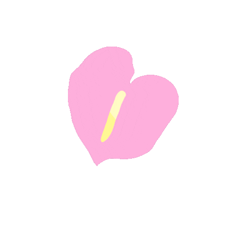 Pink Flower Sticker by Design Jord for iOS & Android | GIPHY