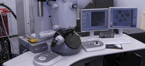Microscope GIF - Find & Share on GIPHY