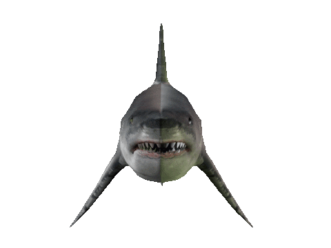 Movie Horror Sticker by Bad CGI Sharks for iOS & Android | GIPHY