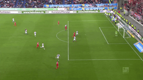 1 Fc Cologne Football GIF by 1. FC Köln - Find & Share on GIPHY