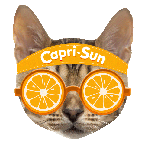 Cat Smile Sticker by Capri-Sun for iOS & Android | GIPHY
