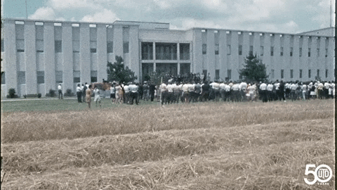 50Th Anniversary College GIF by UT Dallas - Find & Share on GIPHY