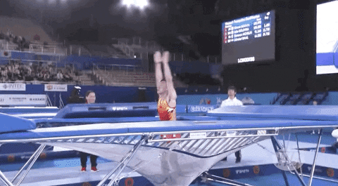 Bounce Trampoline GIF by FIG Gymnastics - Find & Share on GIPHY