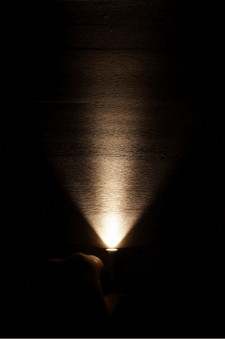 Copper GIF - Find & Share on GIPHY