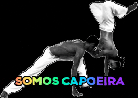 Capoeira GIF by capoeiraluebeckmli - Find & Share on GIPHY