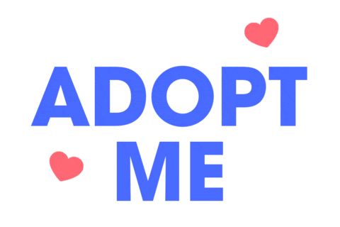 Adopt Me Animal Rescue Sticker by Pumpkin for iOS & Android | GIPHY