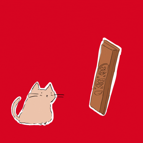KITKAT GIF - Find & Share on GIPHY