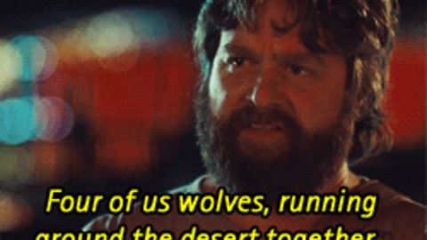 Zach Galifianakis GIF - Find & Share on GIPHY
