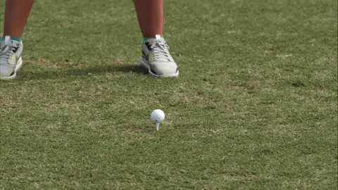 Golf Wave GIF by GreenWave - Find & Share on GIPHY