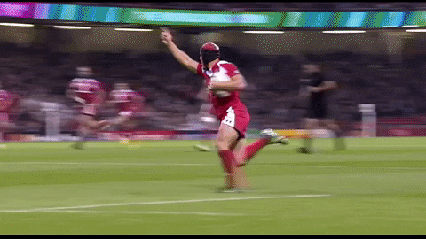 Happy Mood GIF by World Rugby - Find & Share on GIPHY