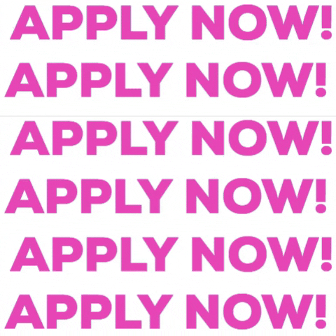 Applications Apply Now! GIF - Find & Share on GIPHY