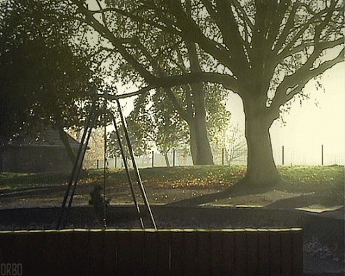 Park GIF - Find & Share on GIPHY