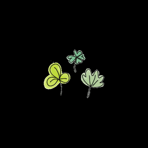 Green GIF - Find & Share on GIPHY