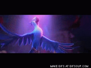 Rio GIF - Find & Share on GIPHY