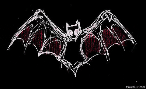 Bat GIFs - Find & Share on GIPHY