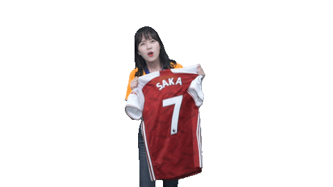 Arsenal Gunners Sticker by Shoot for Love for iOS & Android | GIPHY