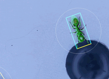 Bio GIFs - Find & Share on GIPHY