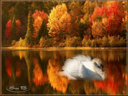 Autumn GIF - Find & Share on GIPHY