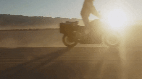 Ride GIF by Harley-Davidson - Find & Share on GIPHY