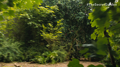Garden GIF by TheSecretGarden - Find & Share on GIPHY