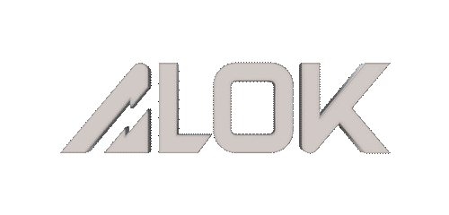 Alok Sticker by Artist Factory for iOS & Android | GIPHY