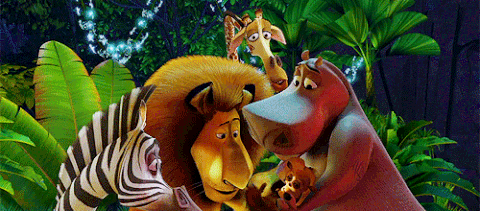 Madagascar GIF - Find & Share on GIPHY