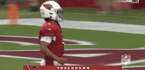 Arizona Cardinals Football GIF by NFL - Find & Share on GIPHY