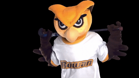 Ncaa Mascot GIF by Rowan University - Find & Share on GIPHY