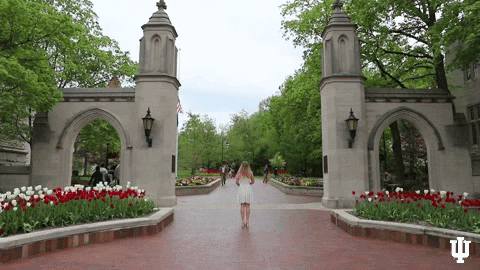 Iu Commencement GIF by Indiana University Bloomington - Find & Share on ...