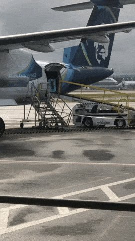 Airplane Dog Crate GIF by Impact Dog Crates - Find & Share on GIPHY