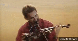 Violin GIF - Find & Share on GIPHY