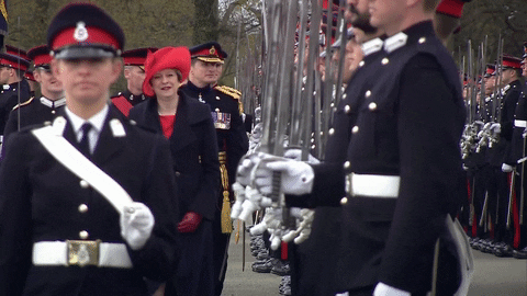 GIF by BFMTV - Find & Share on GIPHY